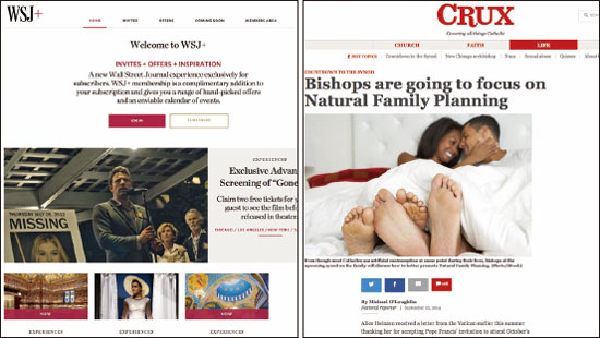 미국 미디어 서바이벌전